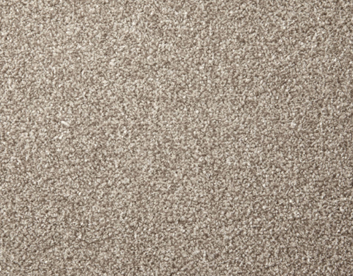 Cormar Apollo Plus Carpet | Crawley Carpet Warehouse