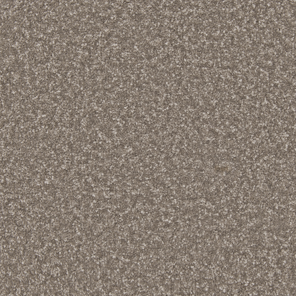 Cormar Apollo Plus Carpet | Crawley Carpet Warehouse