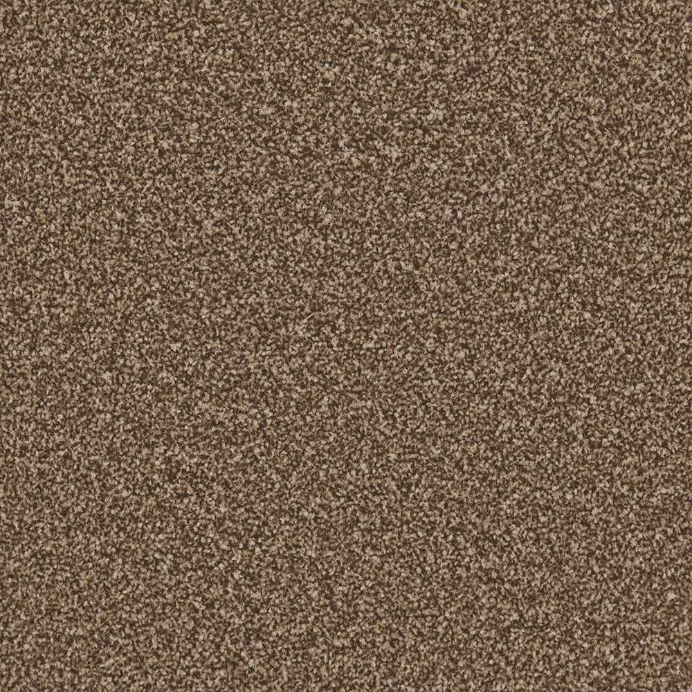 Cormar Apollo Plus Carpet | Crawley Carpet Warehouse