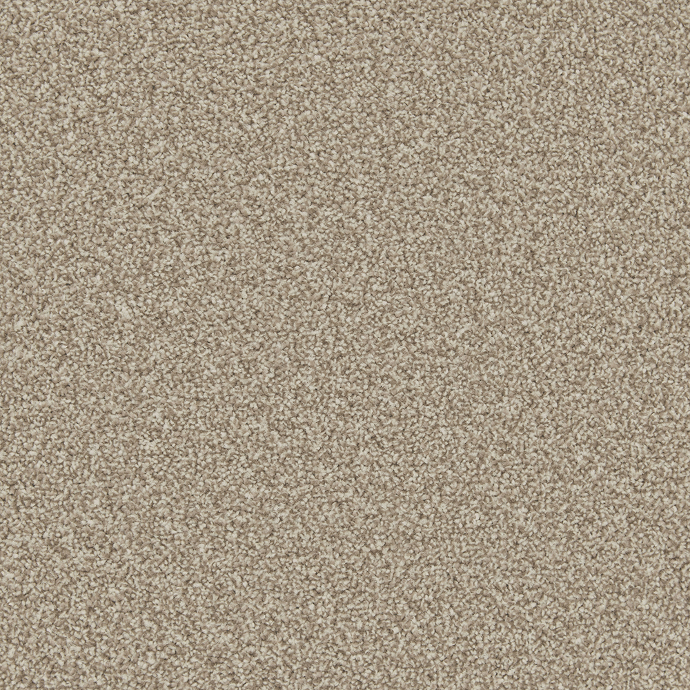 Cormar Apollo Plus Carpet | Crawley Carpet Warehouse