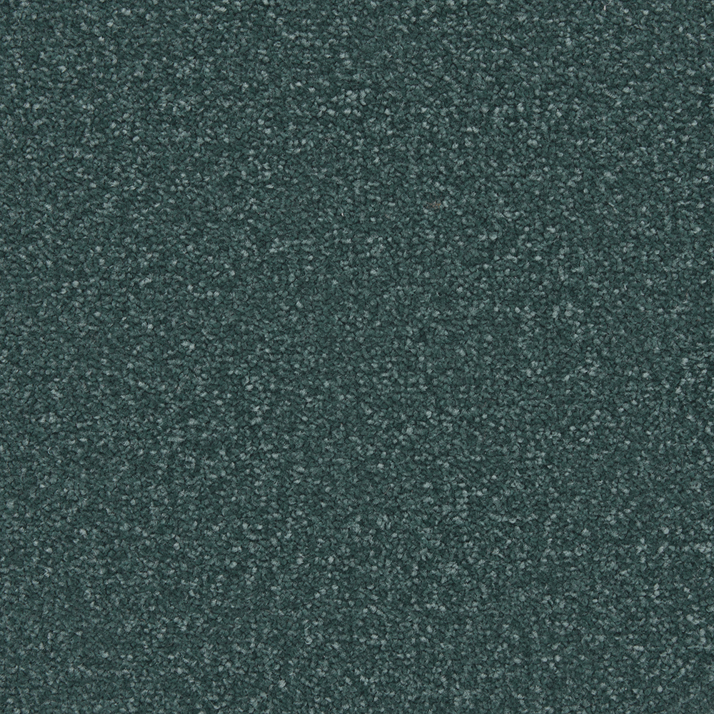 Cormar Apollo Plus Carpet | Crawley Carpet Warehouse