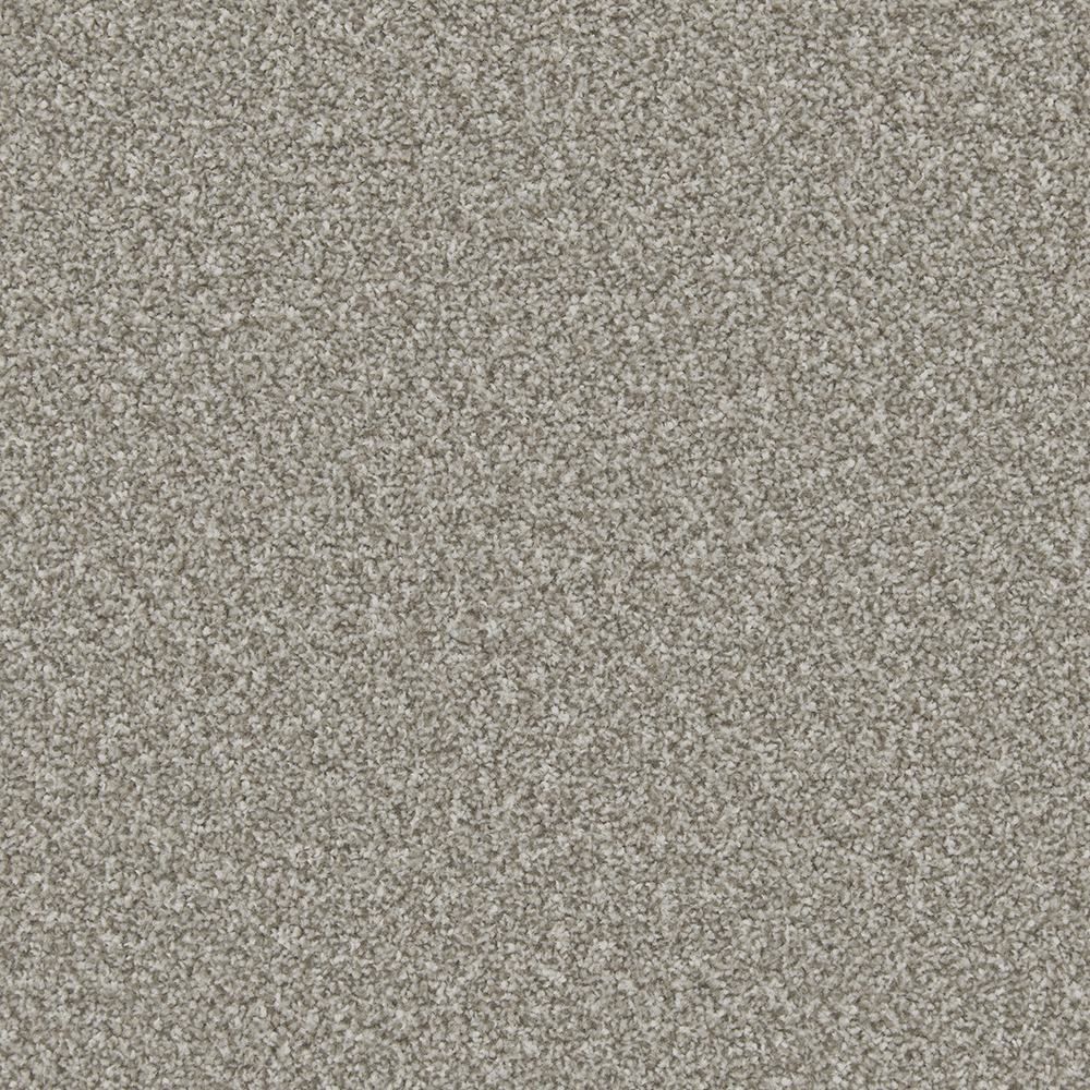 Cormar Apollo Plus Carpet | Crawley Carpet Warehouse