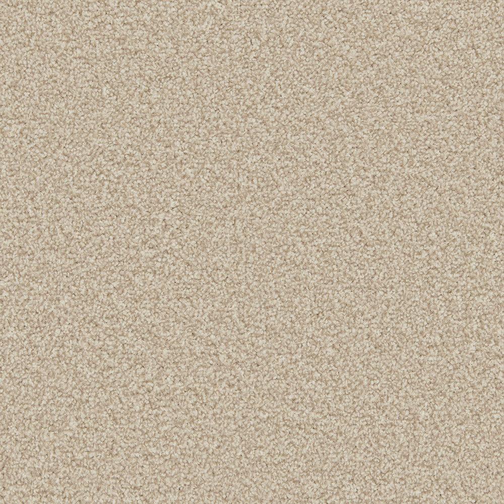 Cormar Apollo Plus Carpet | Crawley Carpet Warehouse