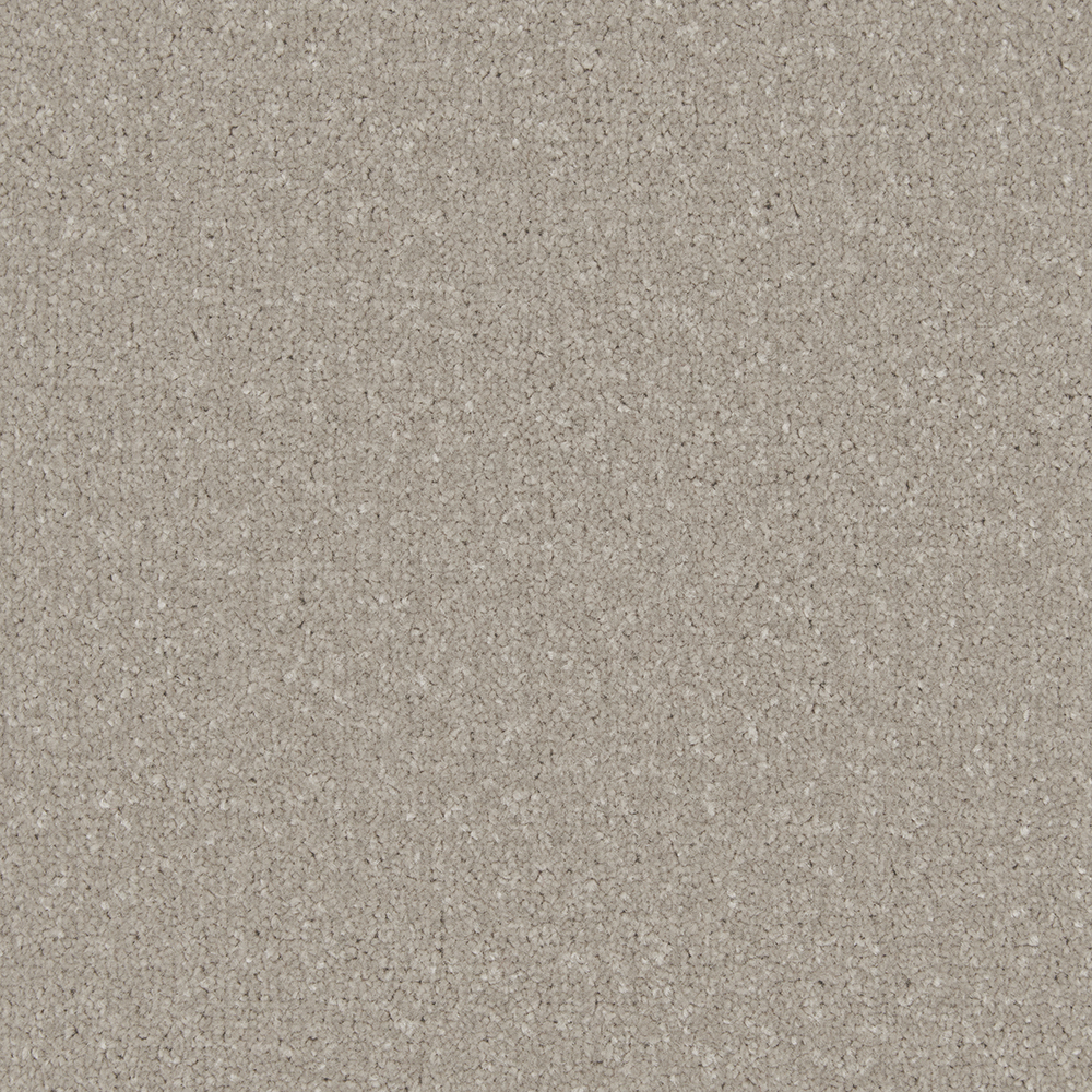 Cormar Apollo Plus Carpet | Crawley Carpet Warehouse