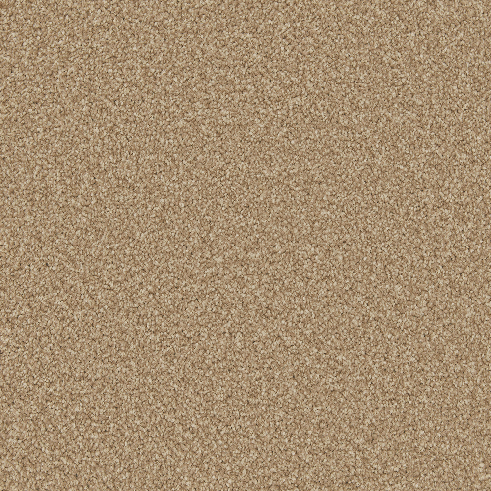 Cormar Apollo Plus Carpet | Crawley Carpet Warehouse